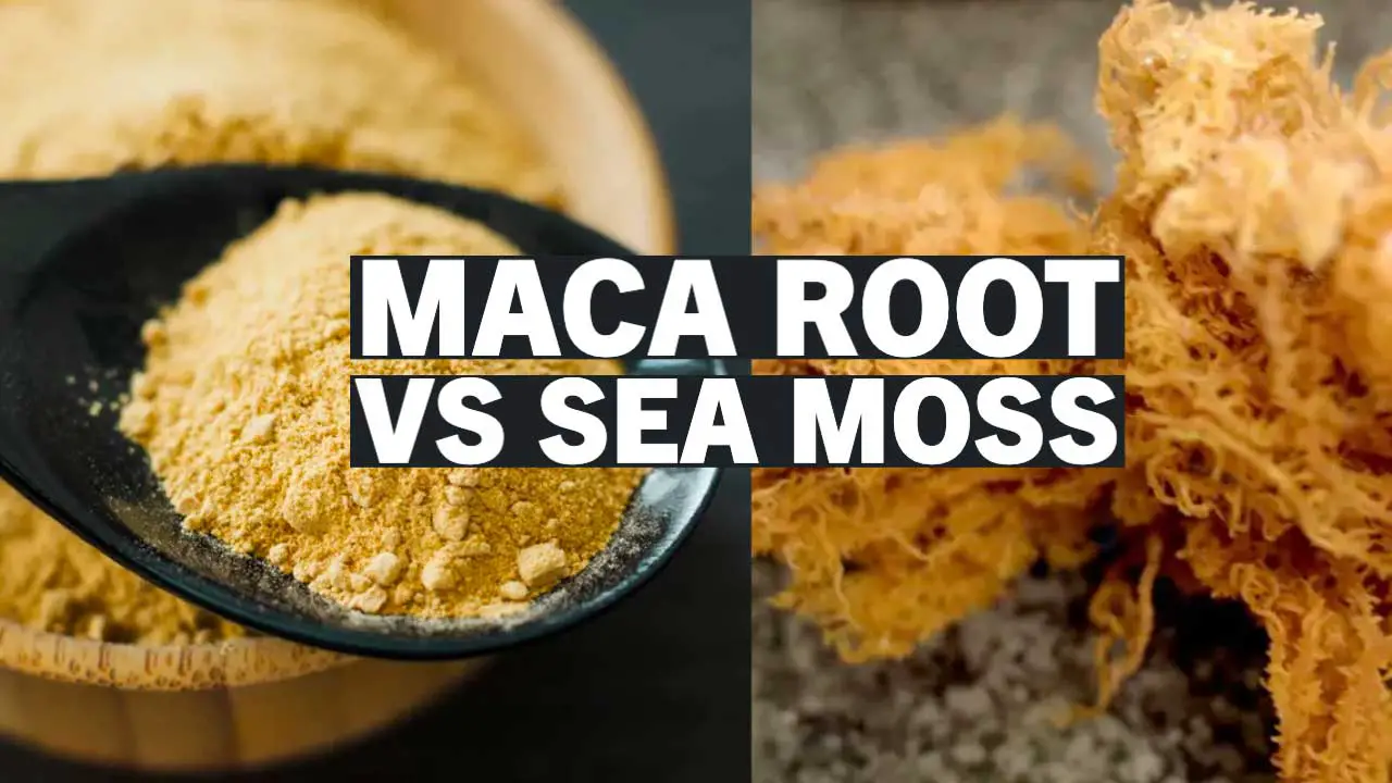 Maca Root vs Sea Moss: Which Superfood Reigns Supreme? - ListedFit