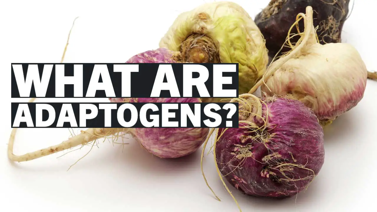 Adaptogens: What Are They & Do They Work? - ListedFit