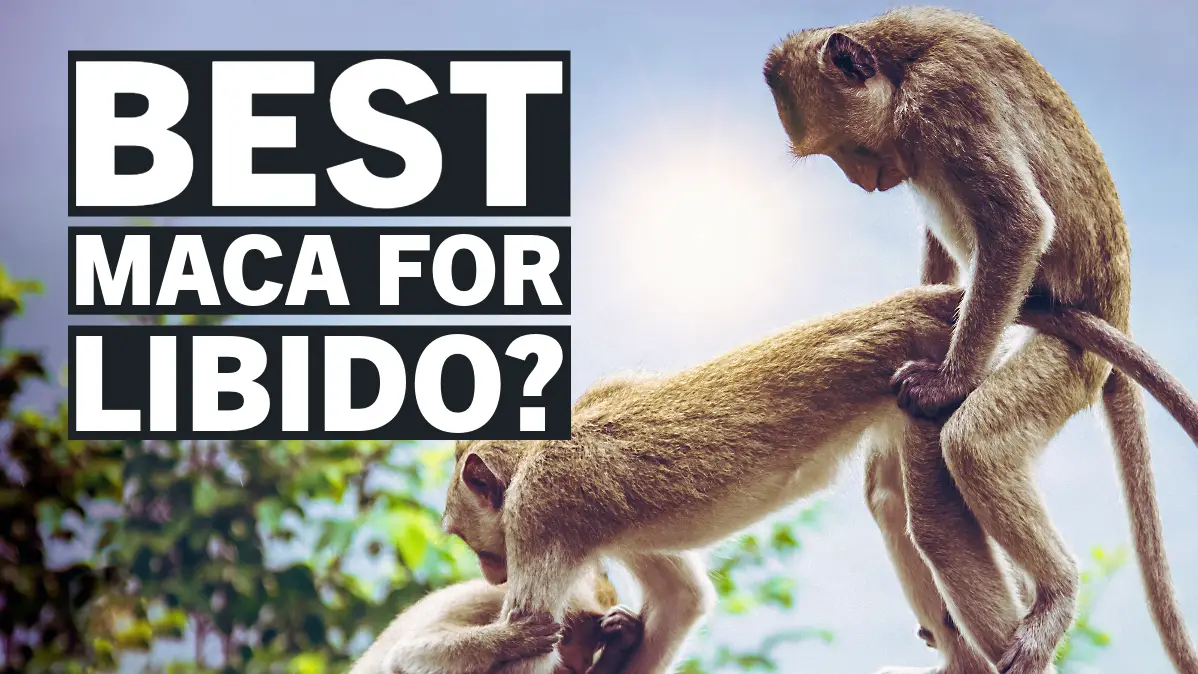 What is the Best Maca for Libido? A Quick Guide - ListedFit