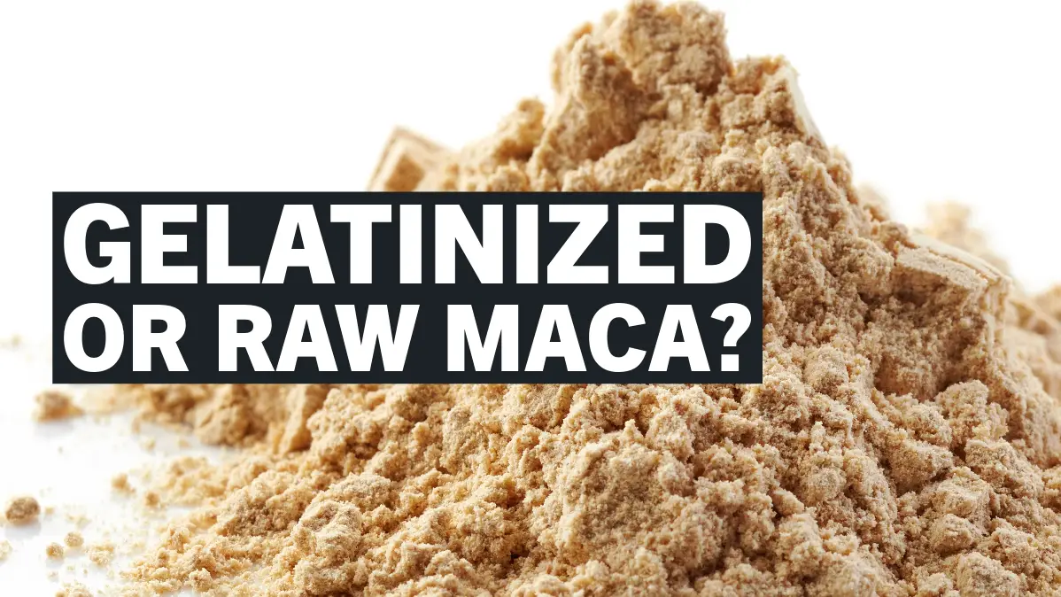 Raw vs Gelatinized Maca: Understanding the Key Differences and Benefits ...
