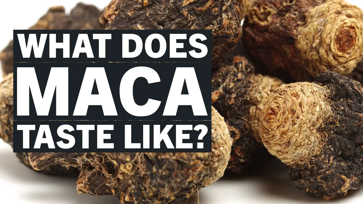 What Does Maca Taste Like? My Experience AND Recommendations - ListedFit