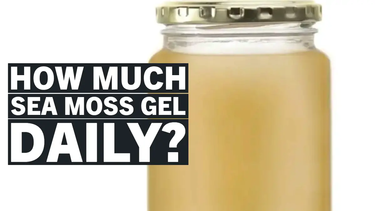 How Much Sea Moss Gel to Take Daily? A Quick Guide for Optimal Dosage ...